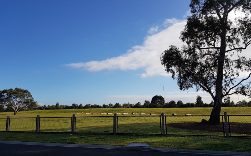 Keysborough Properties For Sale | Crest Property Investments